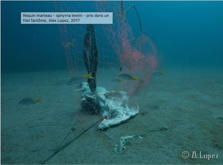 Kap Natirel ~ Menaces